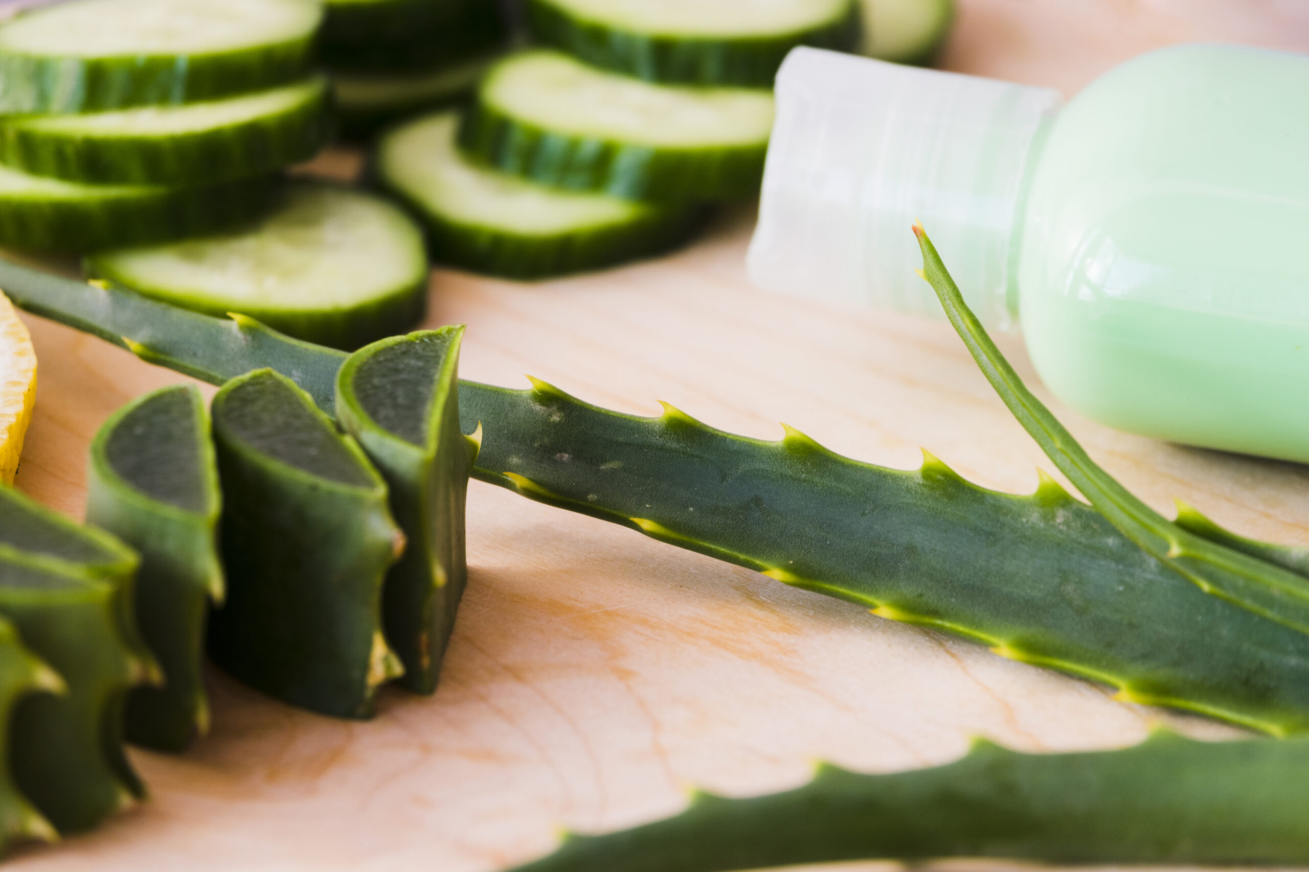7 Benefits Of Aloe Vera That You Should Know About In 2024